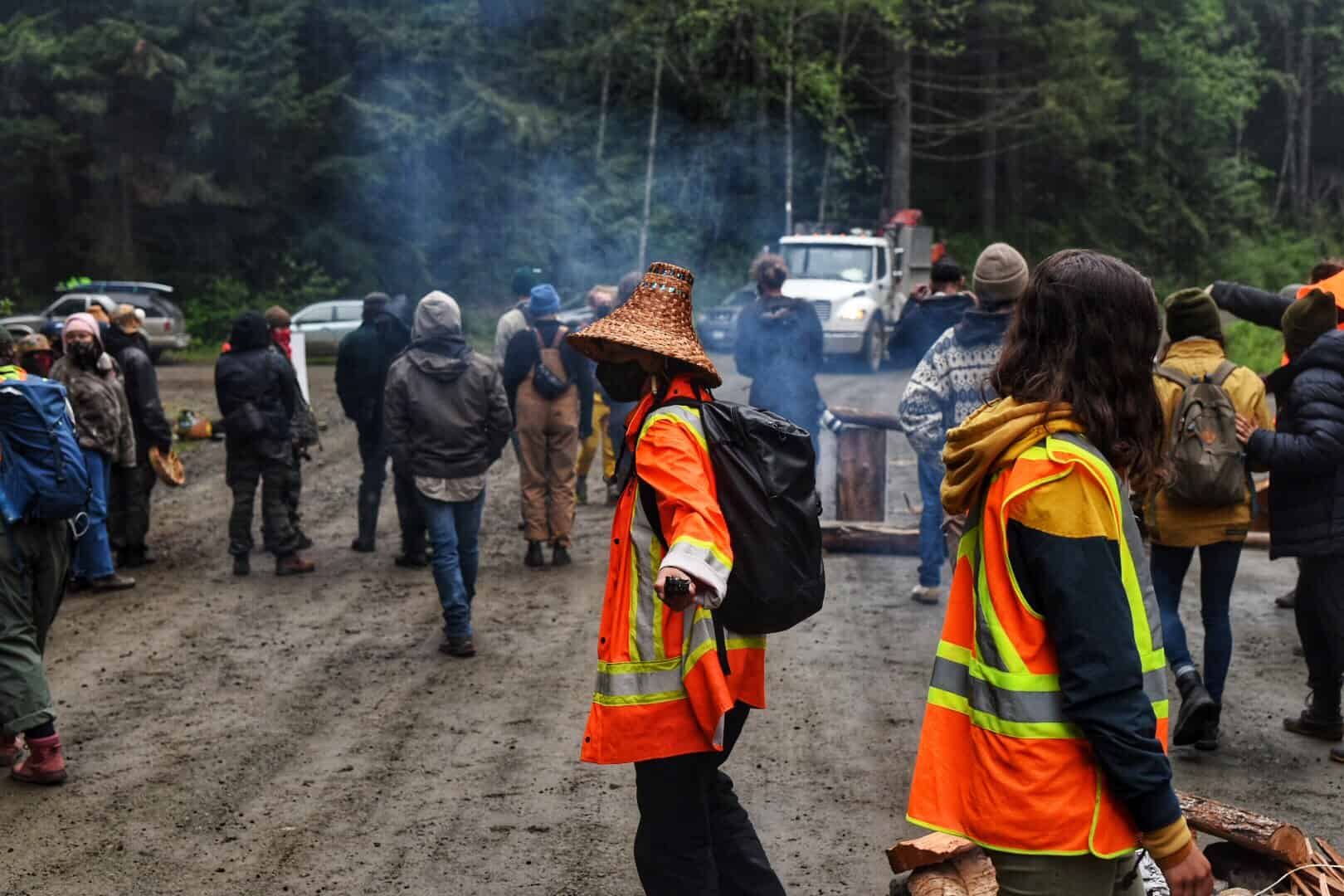 Legal observers and police liaisons part of mass arrest —IndigiNews