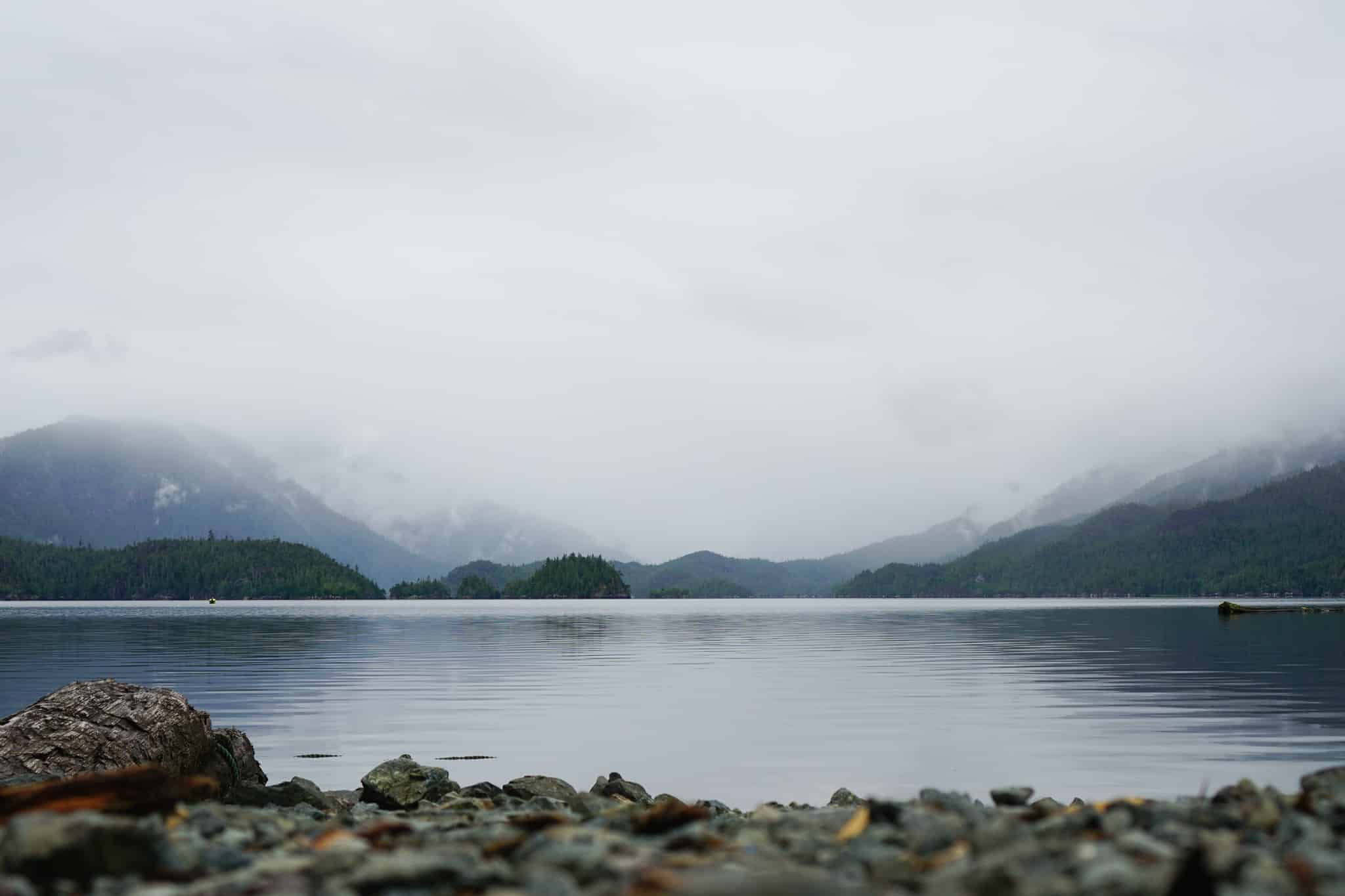 Tutakwisnapšiƛ has spent his life around old-growth trees — he wants to ...
