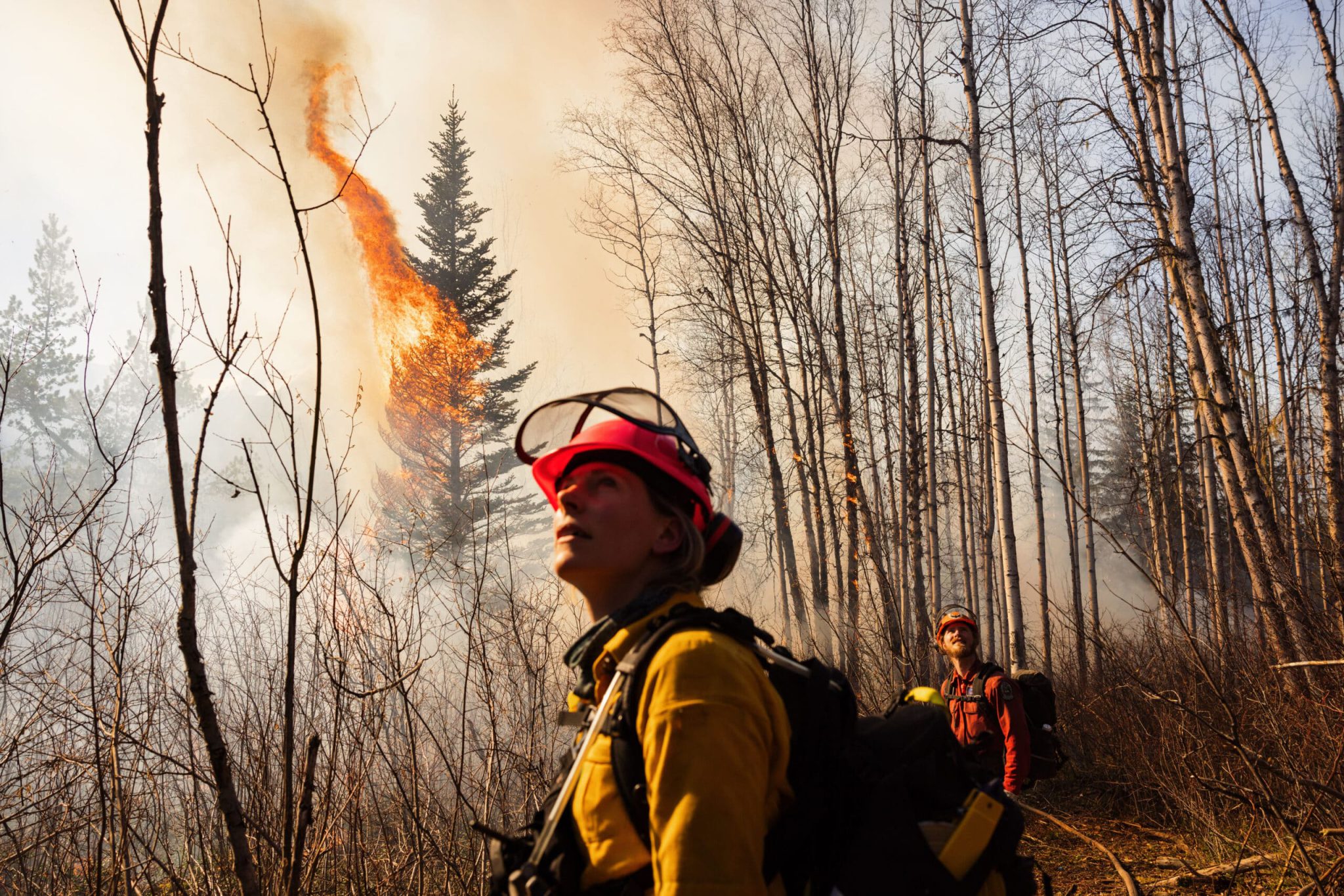 In Gitanyow territories, restorative fire heals the land and people: 'I ...