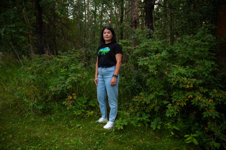 Travelling the Buffalo road: Indigenous nations are rematriating bison ...