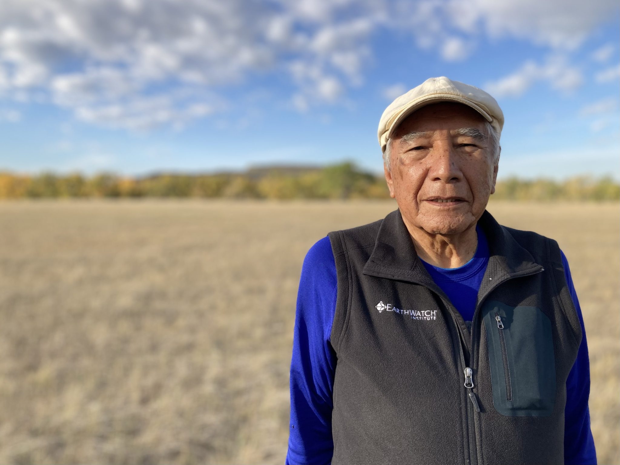 Travelling the Buffalo road: Indigenous nations are rematriating bison ...