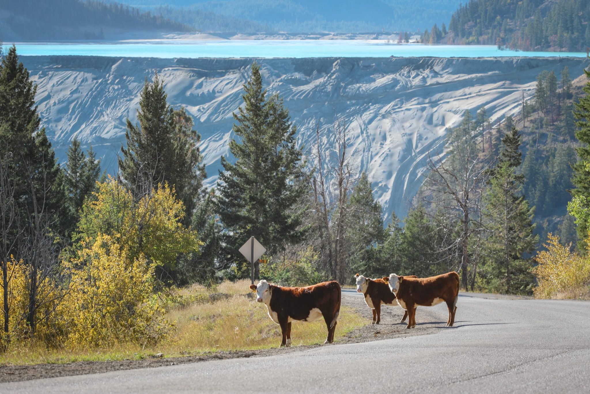 Concerns swirl about Copper Mountain Mine’s consultation process