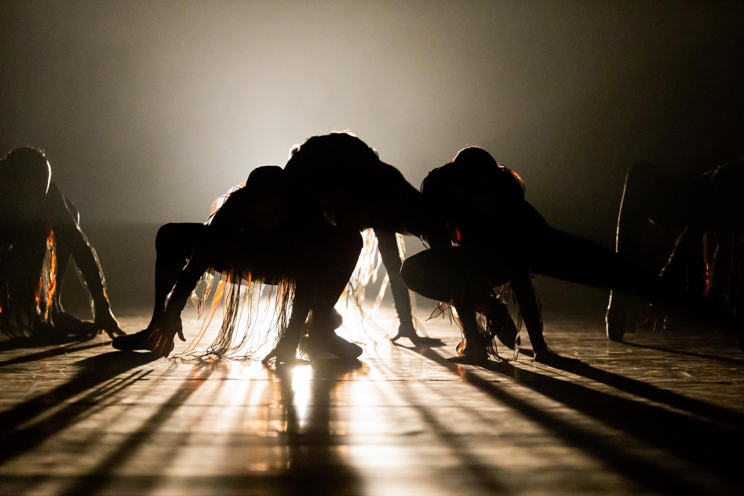 Tla’amin choreographer brings 'Wild Man of the Woods' ballet home to ...